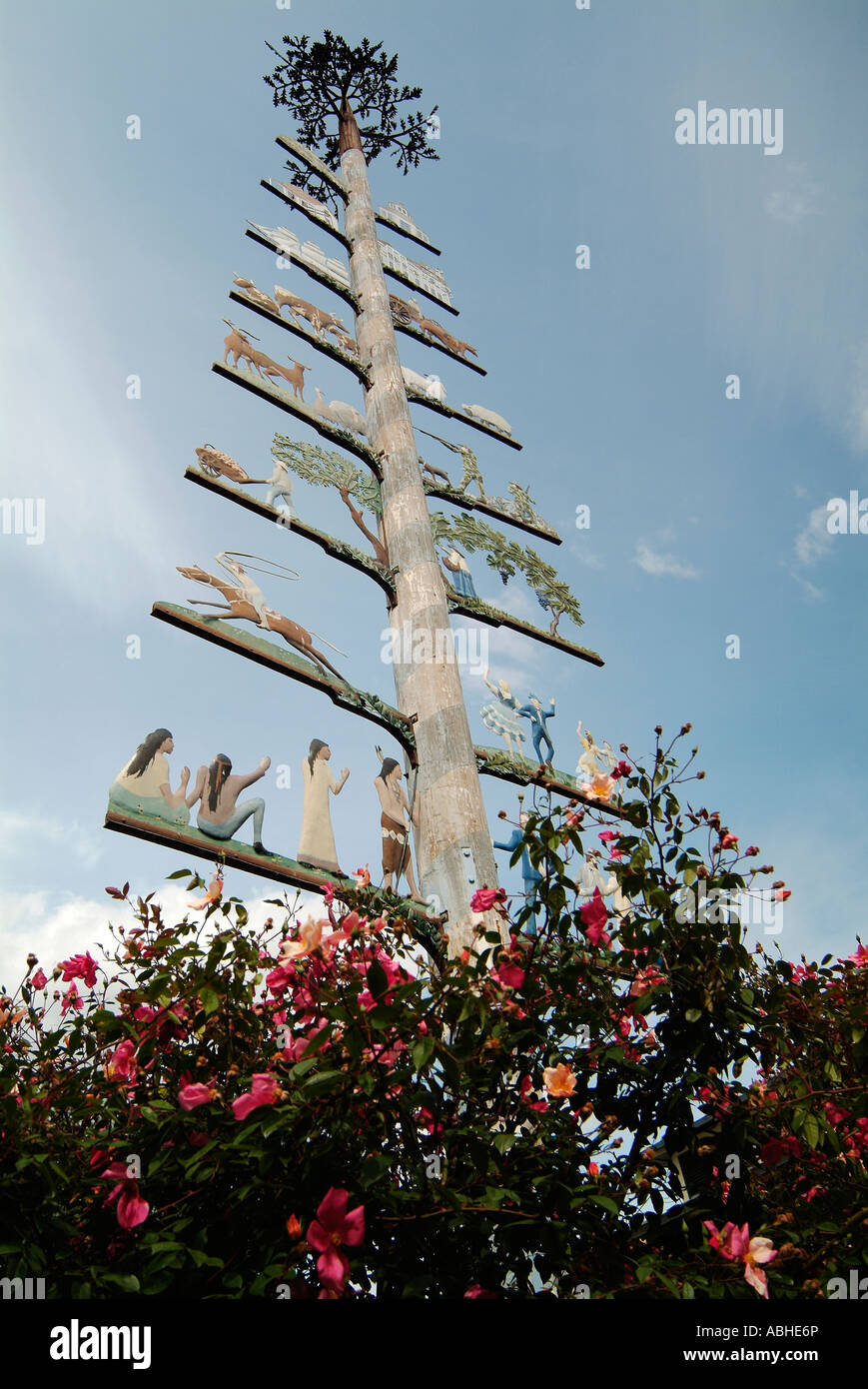 May tree in downtown of Fredericksburg, South of Texas Stock Photo - Alamy