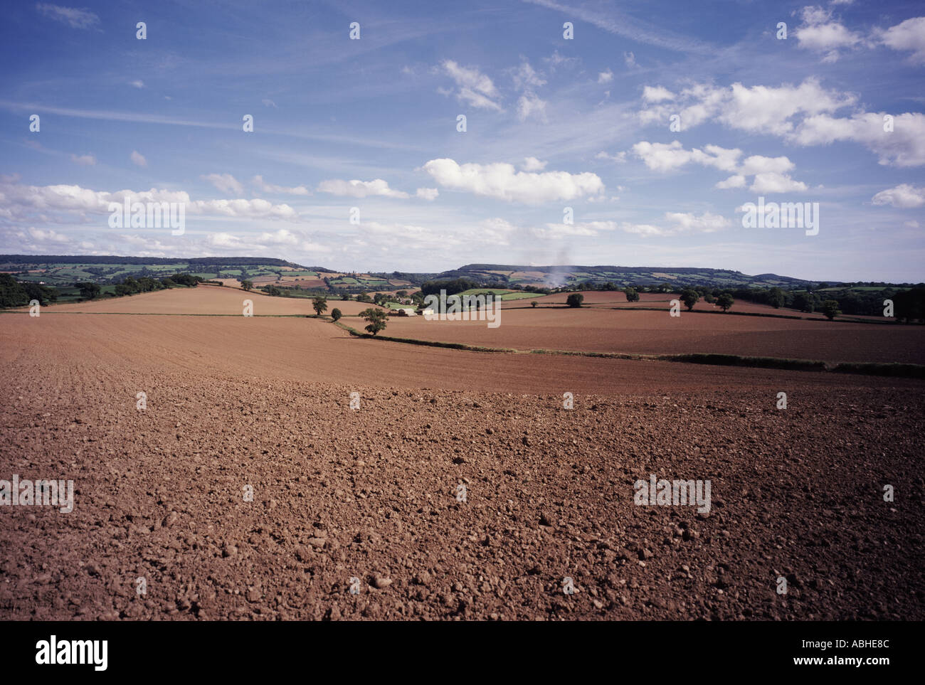 Red soil devon hi-res stock photography and images - Alamy