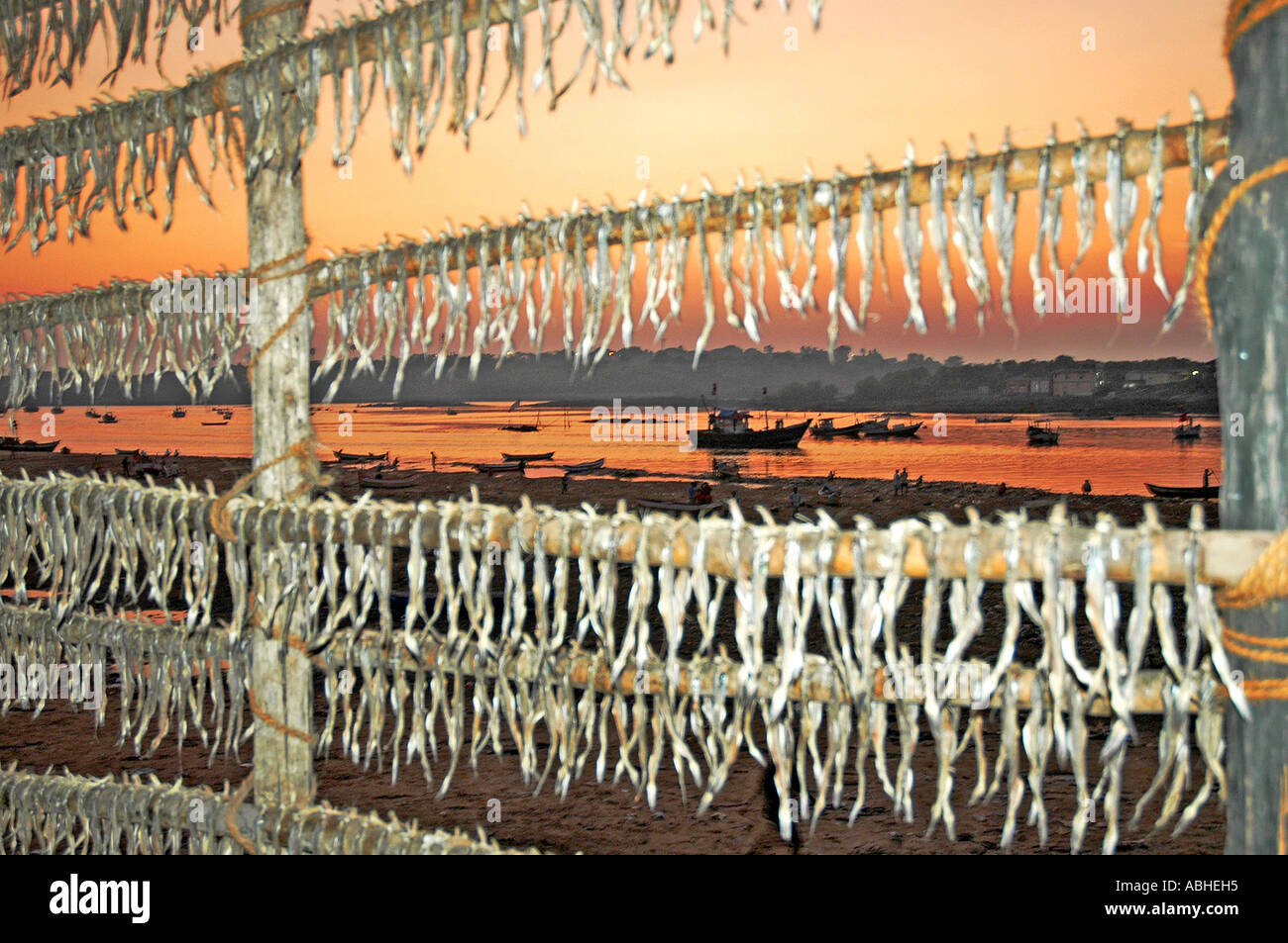 Mumbai fish market hi-res stock photography and images - Alamy