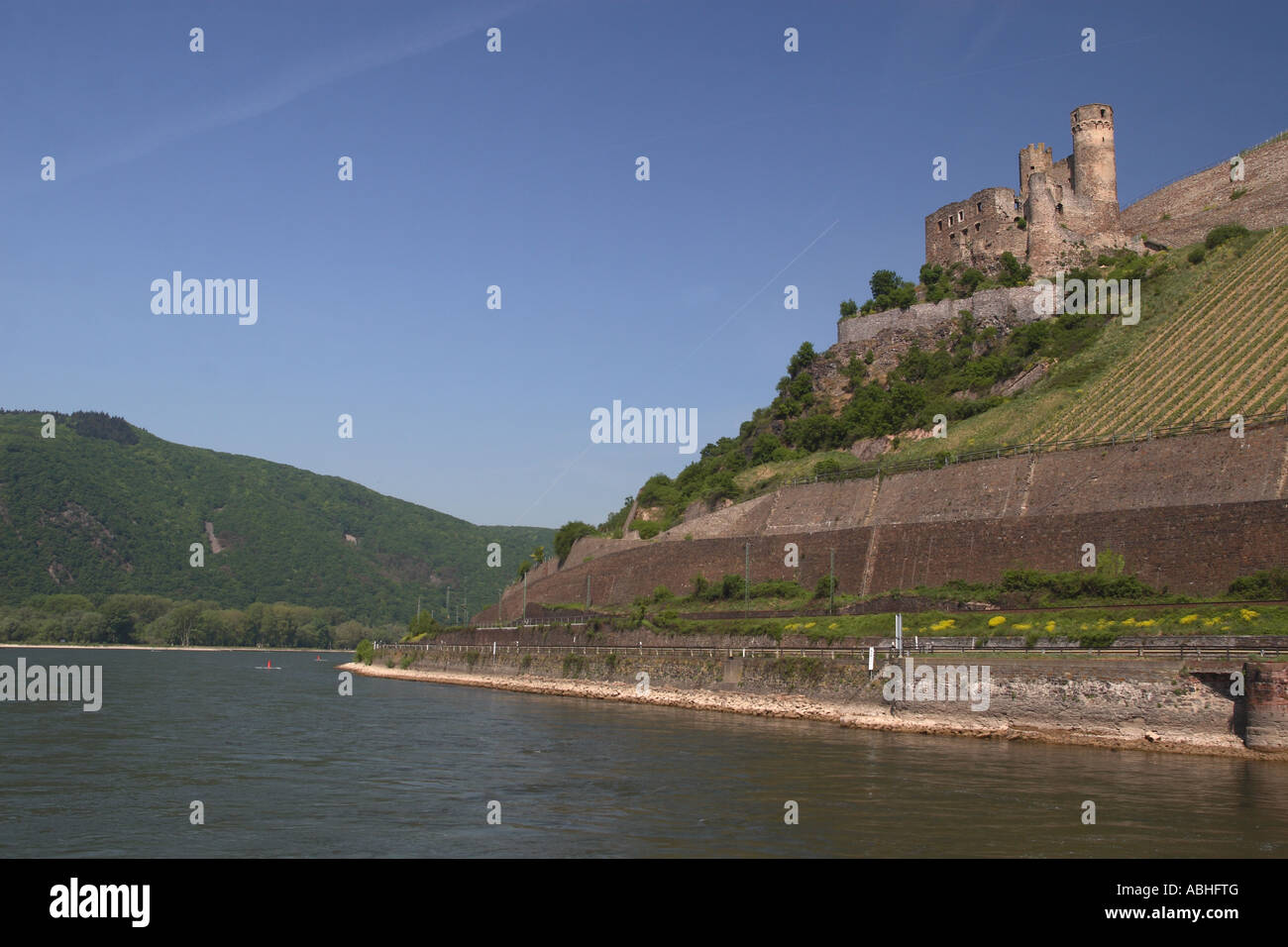 Ehrenfels castle on the Rhine river in Germany leading to the historic ...