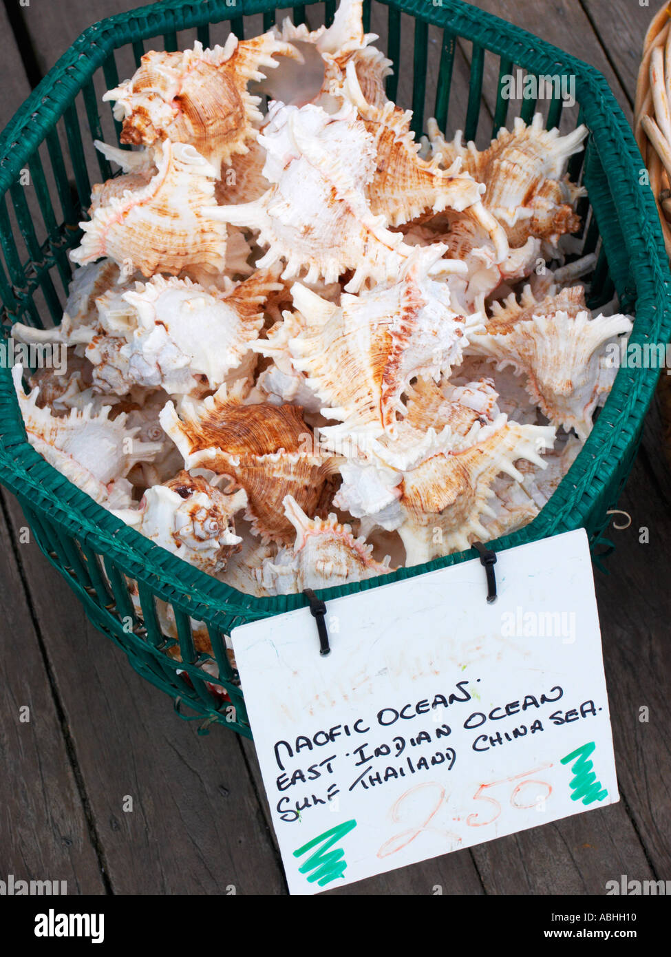 baskets of exotic shells and sea creatures for sale on Llandudno pier ...