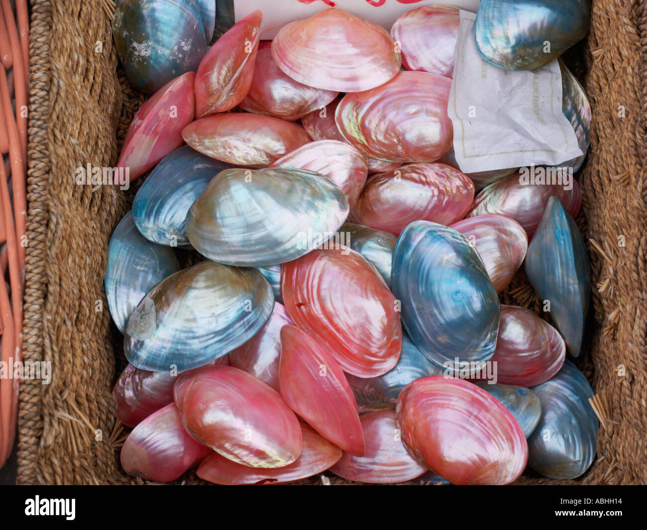 baskets of exotic shells and sea creatures for sale on Llandudno pier ...