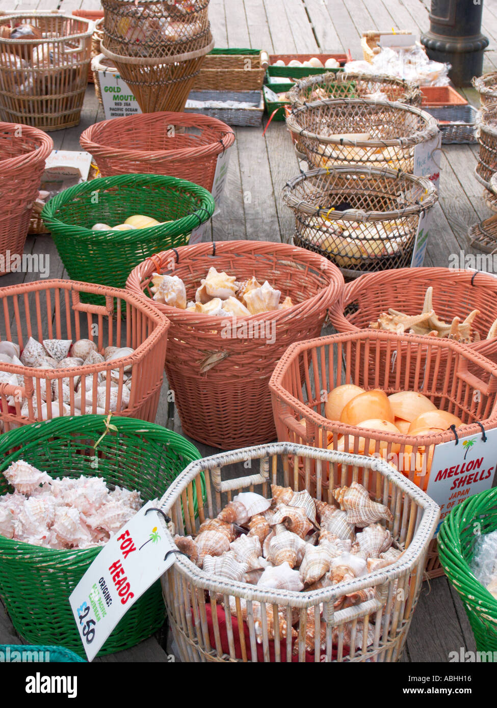 Baskets of sea shells hi-res stock photography and images - Alamy