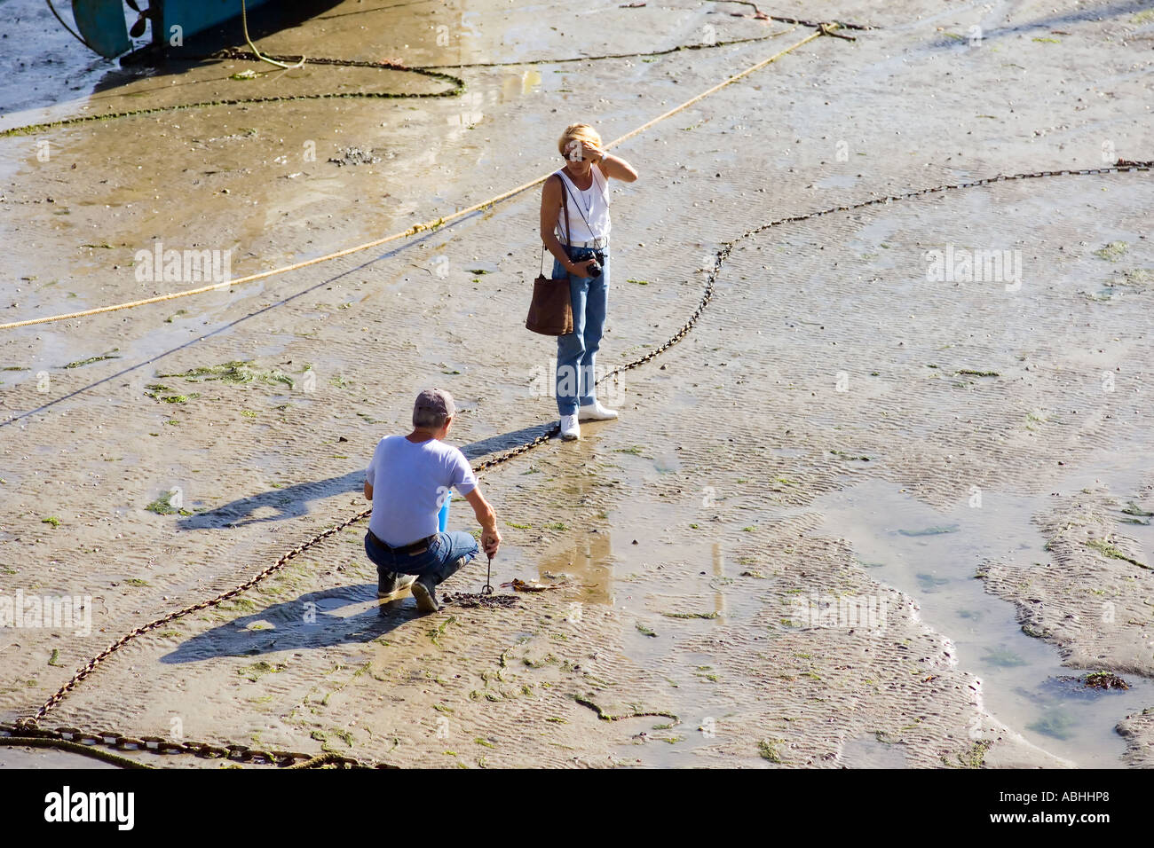 Gathering shells hi-res stock photography and images - Alamy