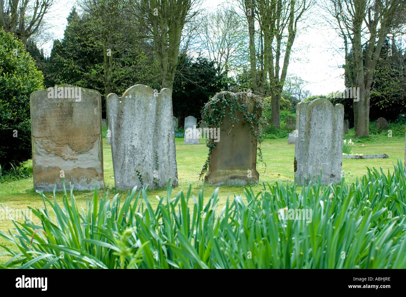 Grave Stones in Graveyard Stock Photo - Alamy