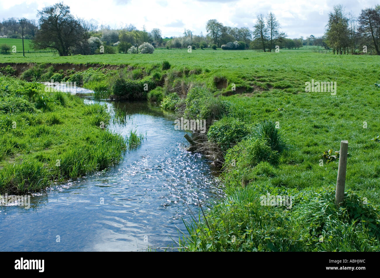 River rib hertfordshire hi-res stock photography and images - Alamy