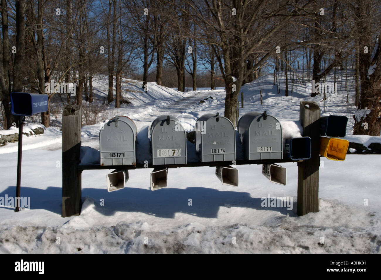 A group of mailboxes in front of a snowy forest in Chagrin Falls Ohio ...