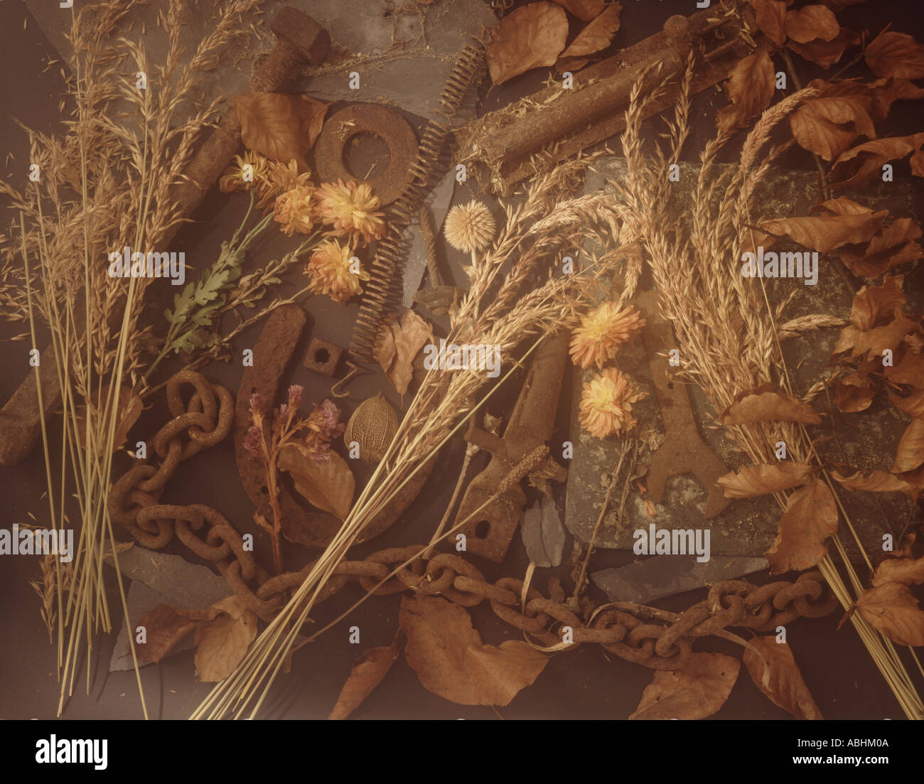 Farm implements still life 3 Stock Photo - Alamy