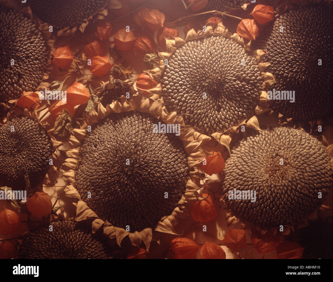 Farm implements still life 4 Stock Photo - Alamy