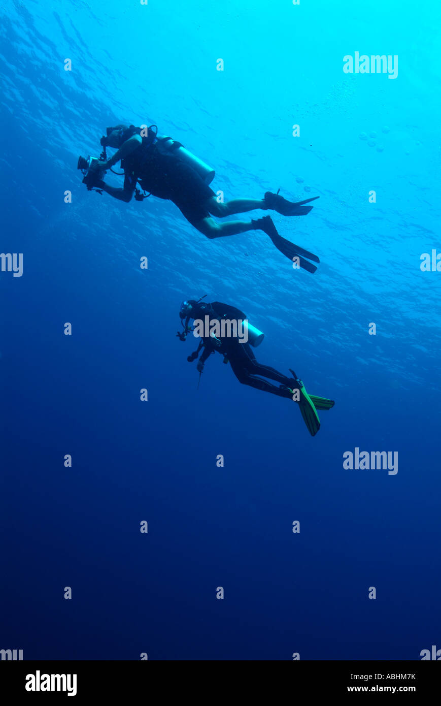 Swimmin in sea hi-res stock photography and images - Alamy