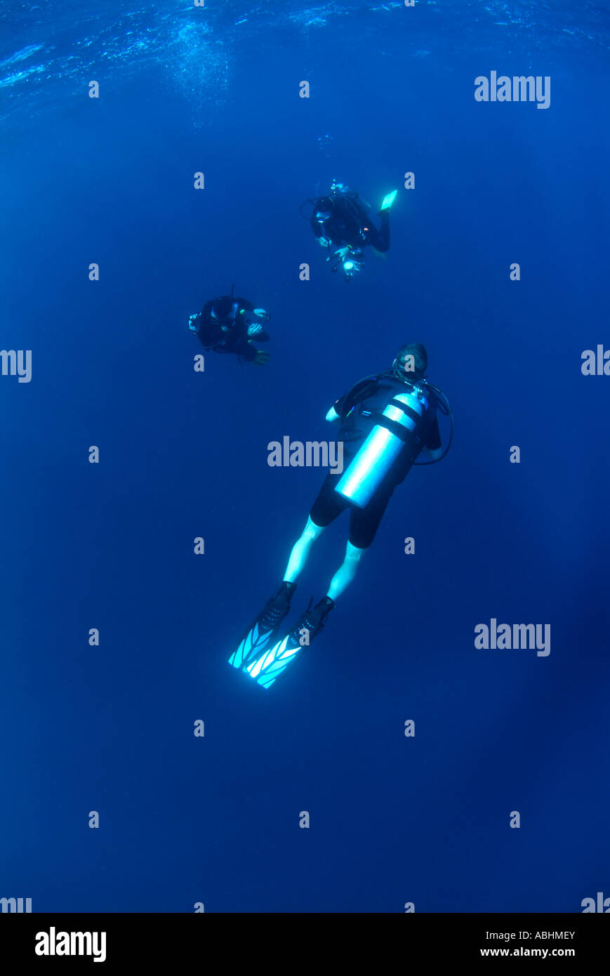 Three divers scuba diving in the opean water ocean, Raja Ampat Stock ...