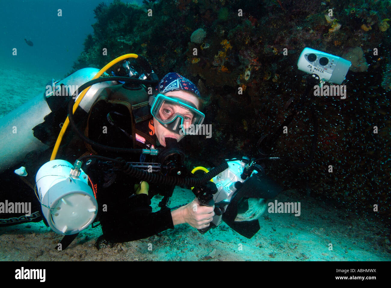 Diving photographer woman scuba camera hi-res stock photography and ...