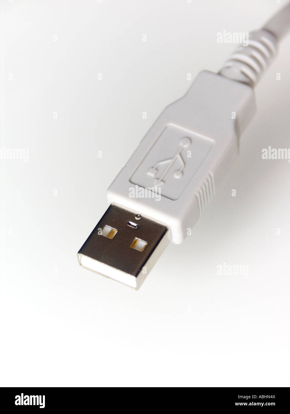 pc usb plug cable close up on a white background Stock Photo - Alamy