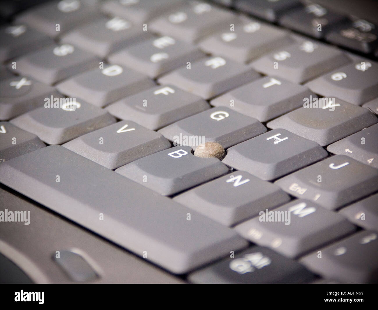 dusty pc keyboard close up Stock Photo - Alamy