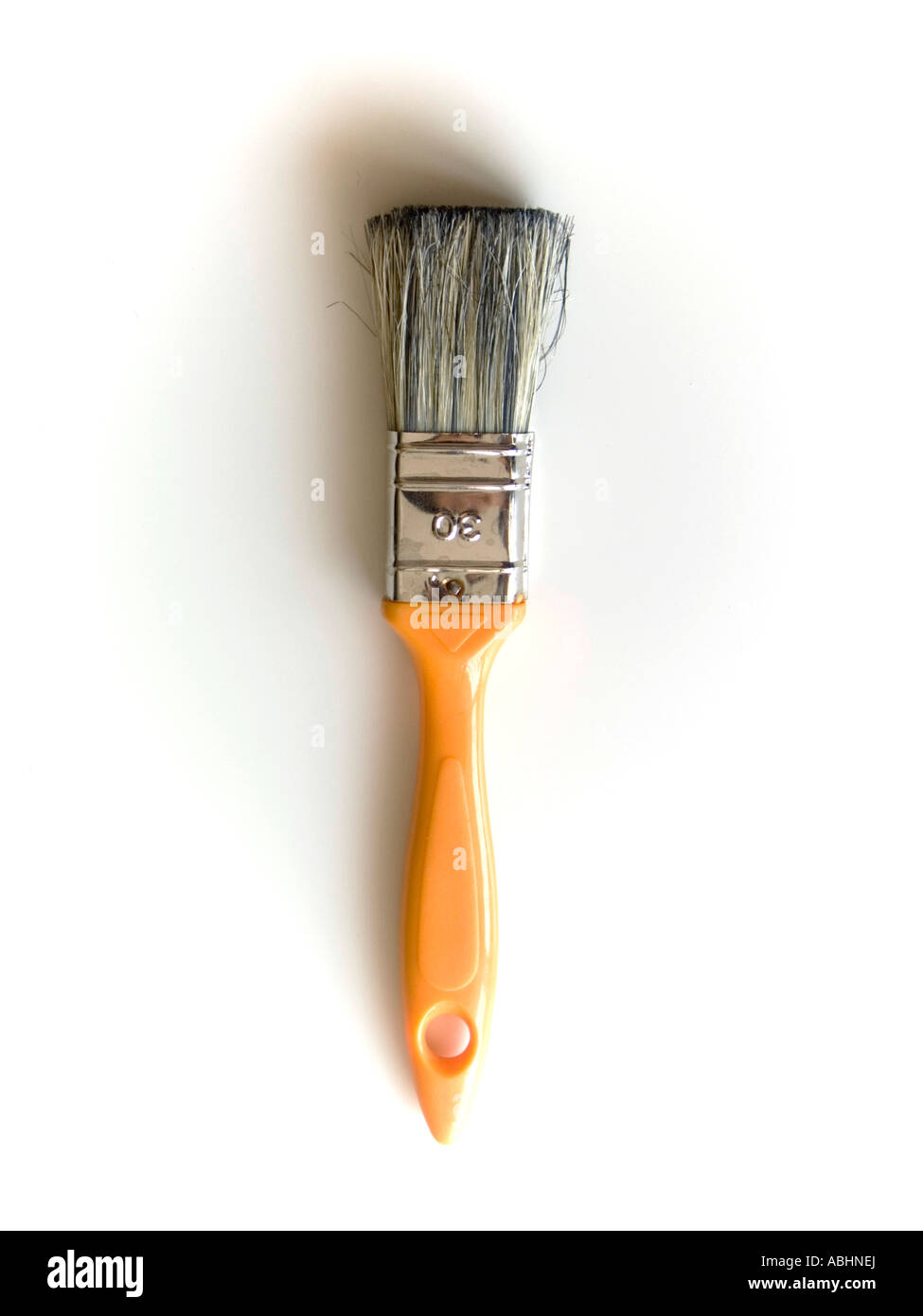 paintbrush close up on a white background Stock Photo - Alamy