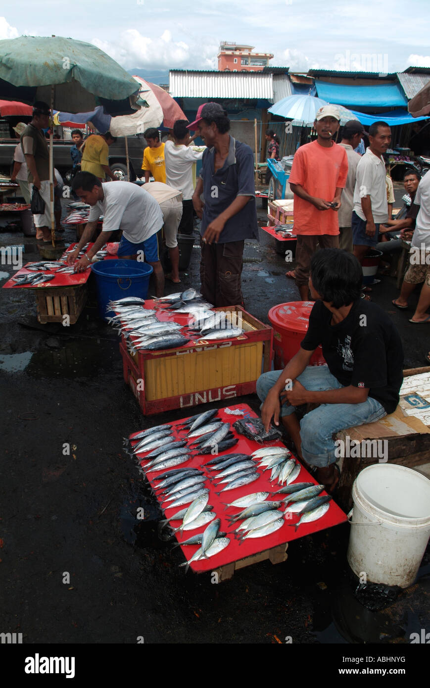 Man selling fish, local market in Manado, North Sulawesi Stock Photo ...
