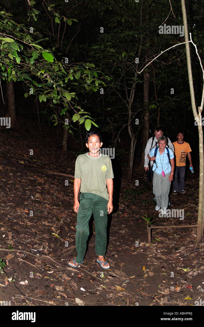 People leading by an indonesian guide in the jungle Stock Photo - Alamy