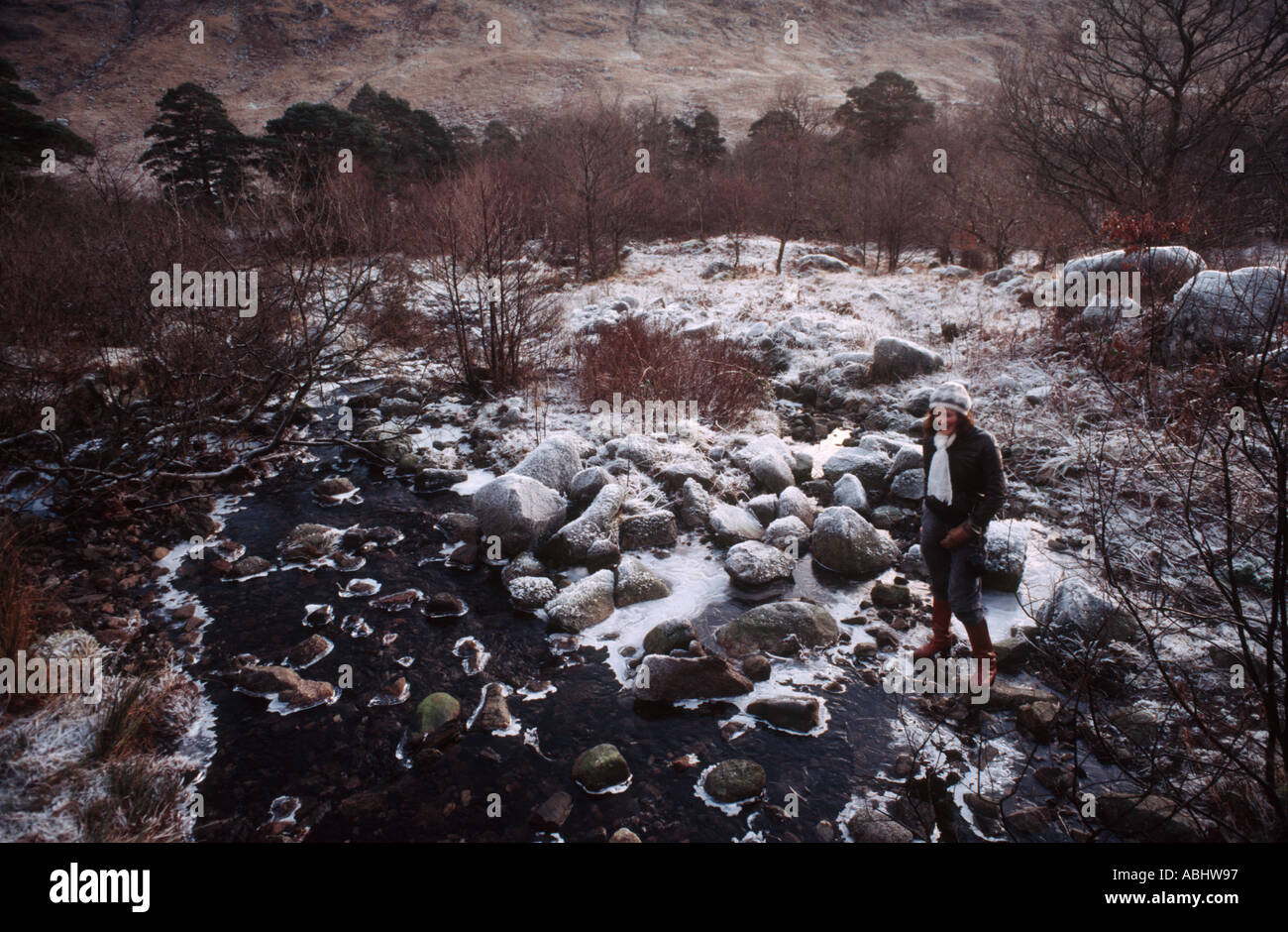 Woman stepping across rocks in a river bed in Scotland Strontian Glen ...