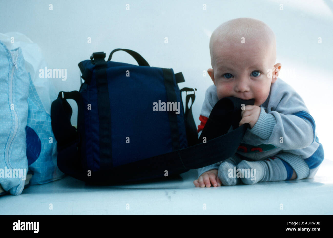 Baby boy biting the strap of a bag and looking directly into the camera ...