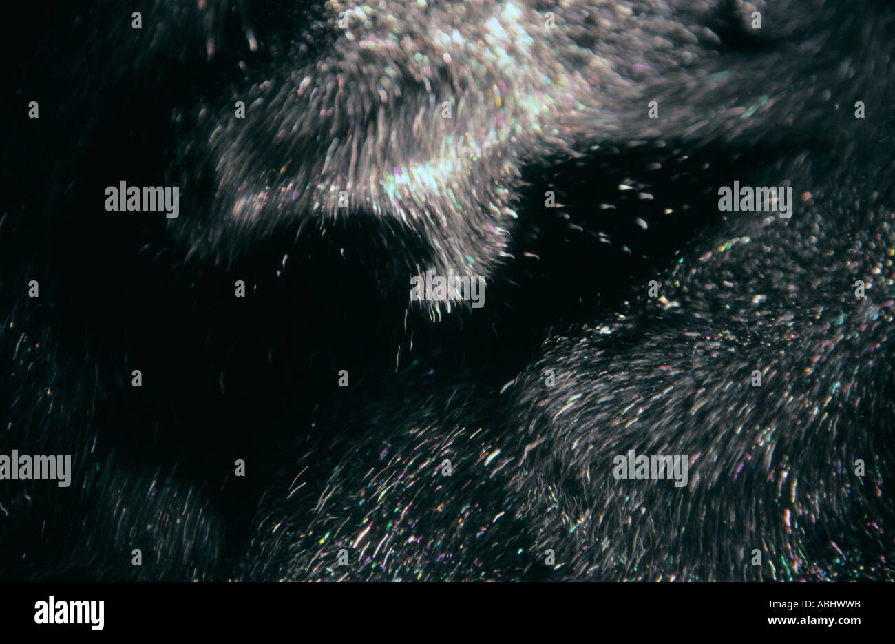 Diamond dust ice snow crystal hi-res stock photography and images - Alamy