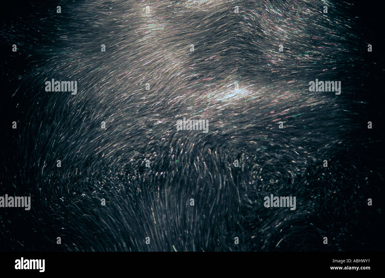 Diamond Dust or Ice Snow crystal flow visualization in freezer chamber ...