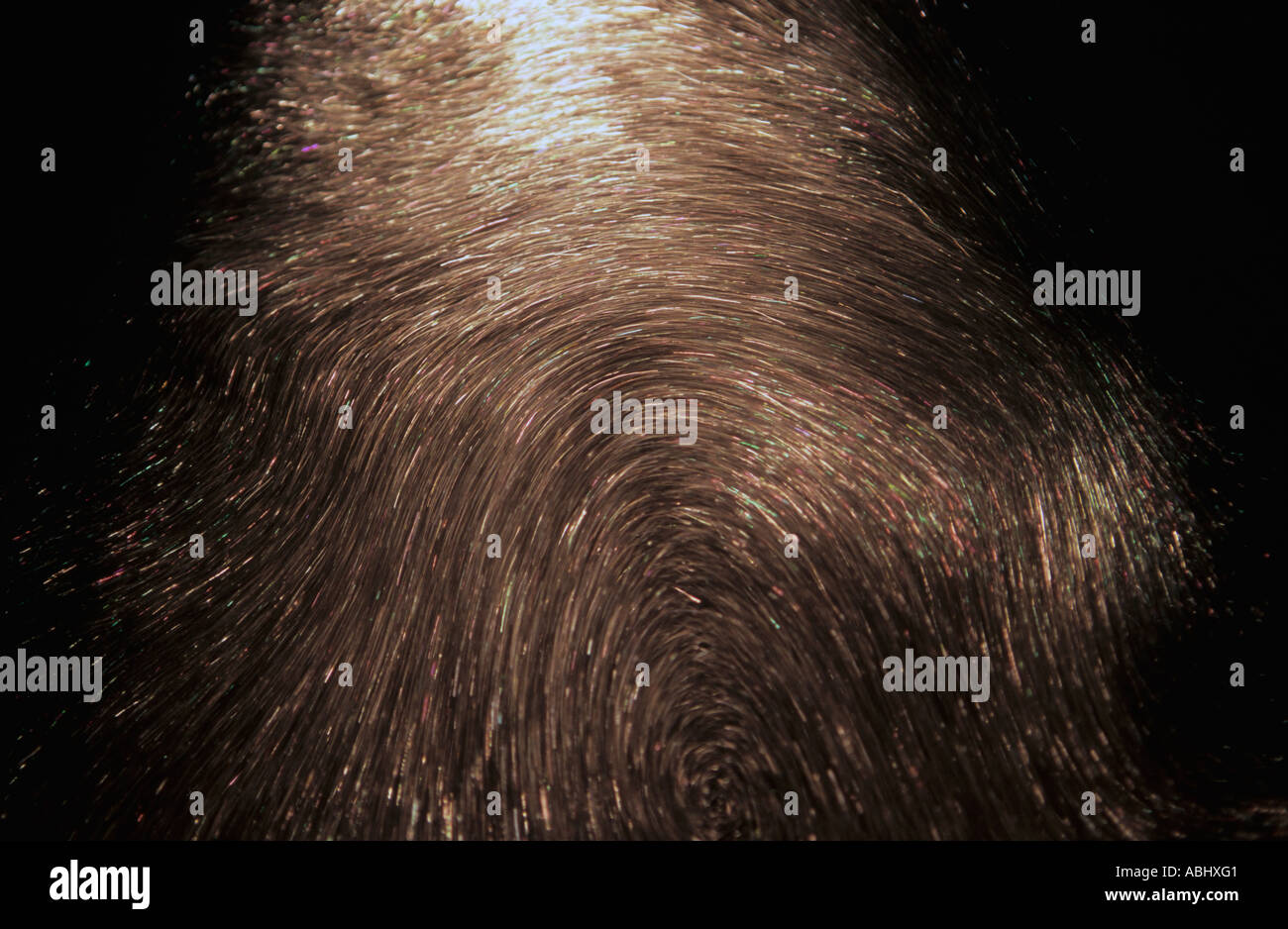 Diamond Dust or Ice Snow crystal flow visualization in freezer chamber ...