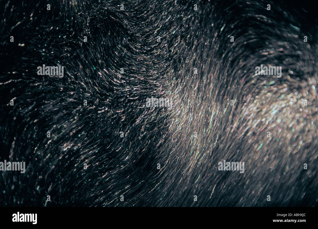 Diamond Dust or Ice Snow crystal flow visualization in freezer chamber ...