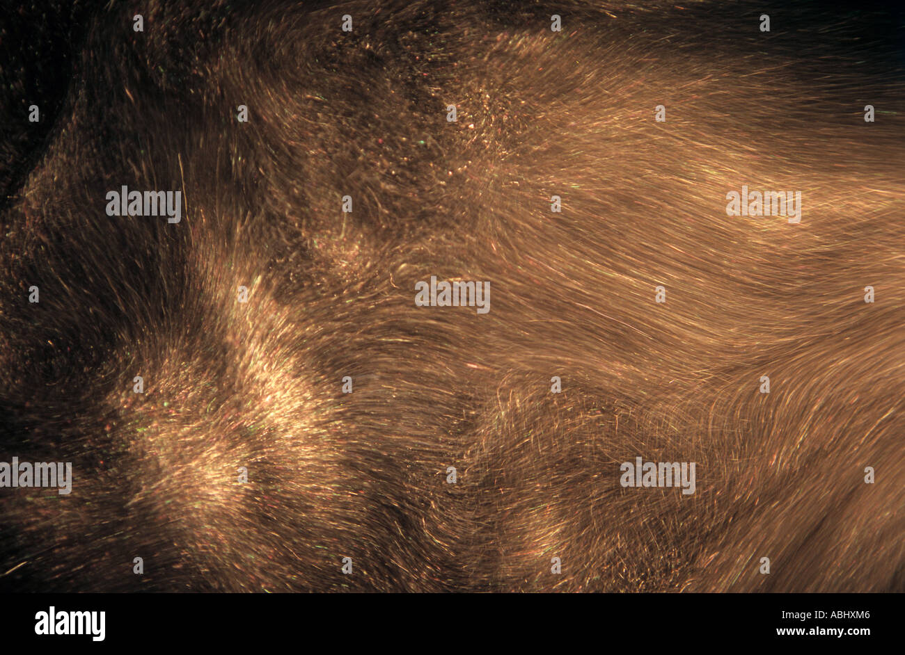 Diamond Dust or Ice Snow crystal flow visualization in freezer chamber ...