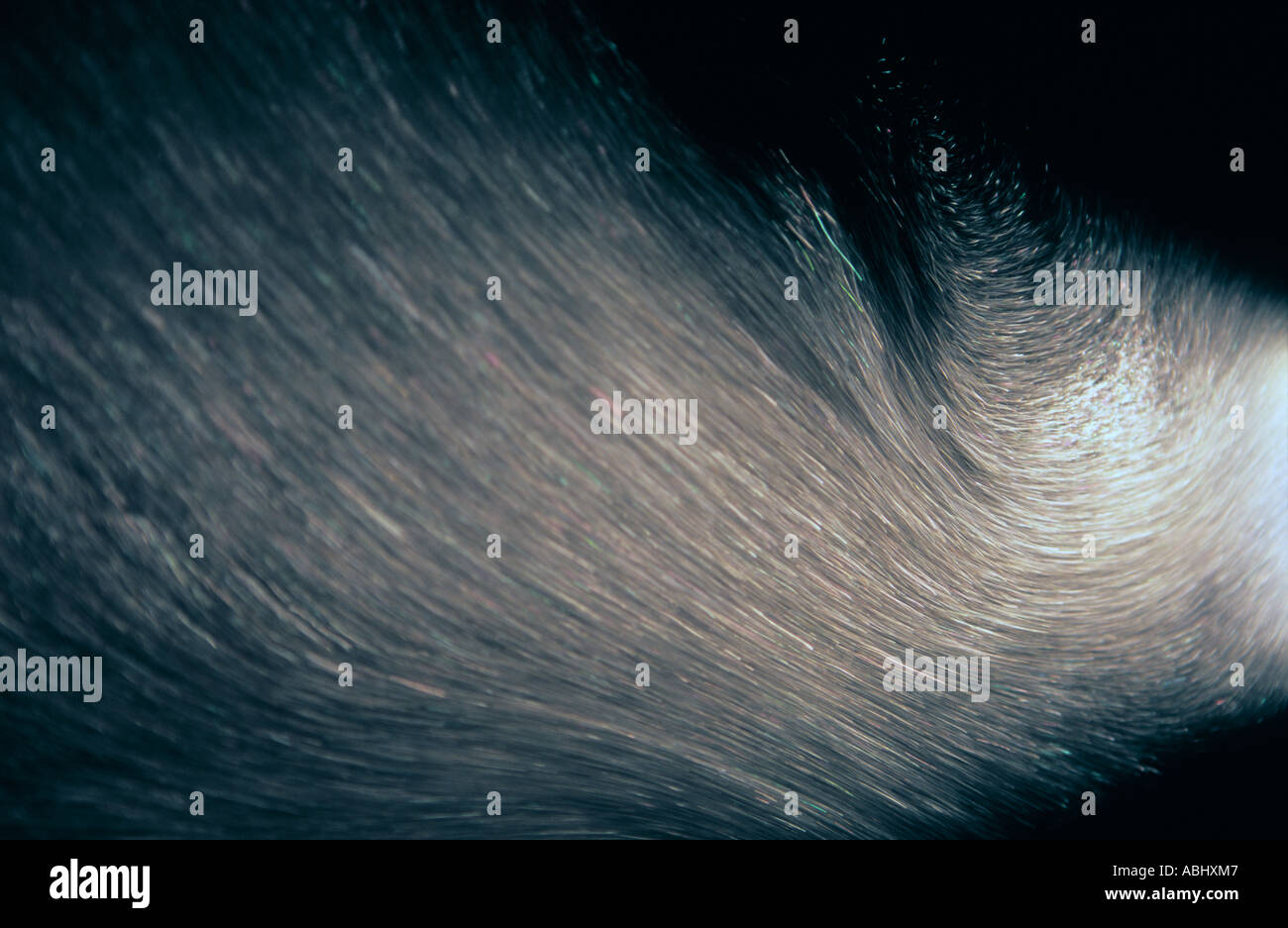 Diamond Dust or Ice Snow crystal flow visualization in freezer chamber ...