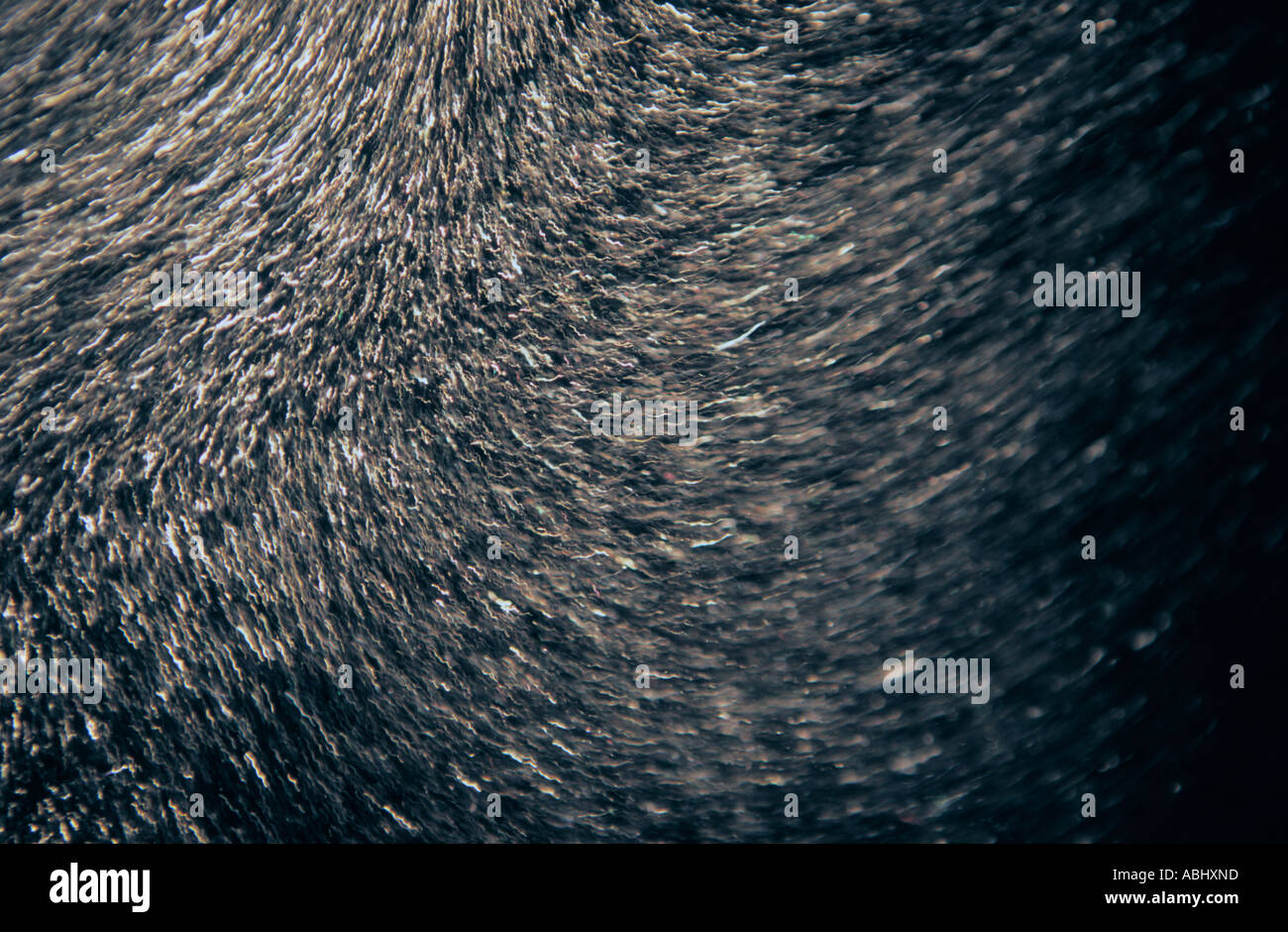 Diamond Dust or Ice Snow crystal flow visualization in freezer chamber ...