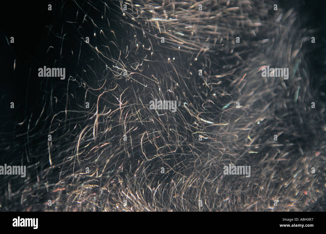 Diamond Dust or Ice Snow crystal flow visualization in freezer chamber ...