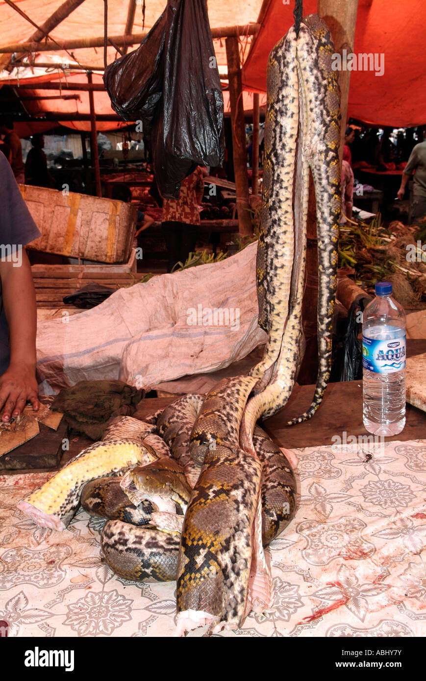 Fresh python on display at the local market of Tomahon Stock Photo - Alamy