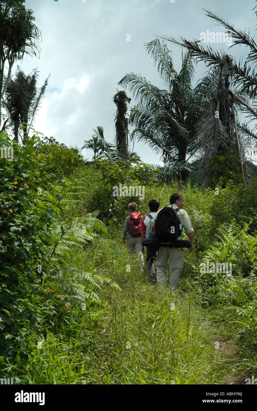People leading by an indonesian guide near the jungle Stock Photo - Alamy
