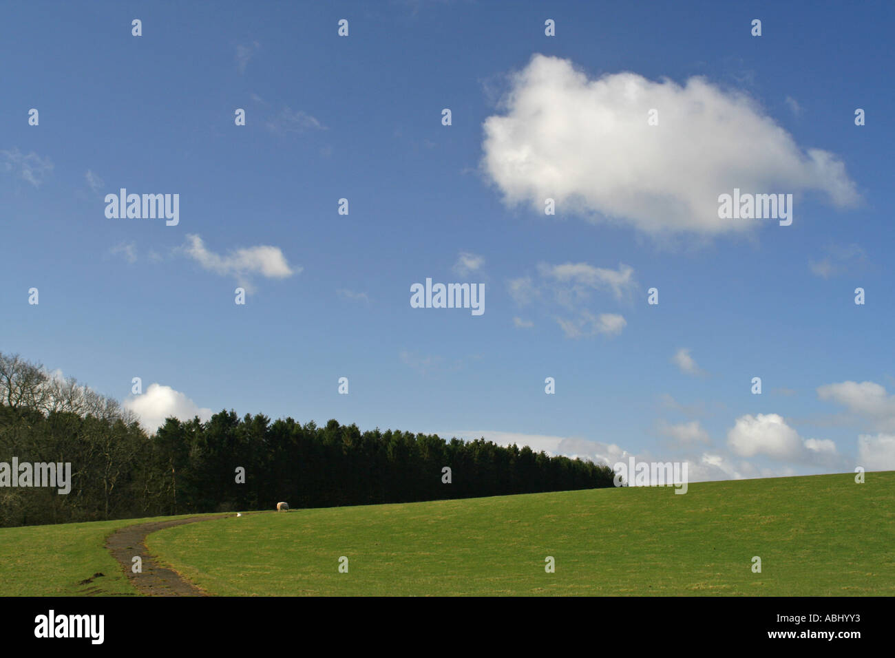 Sky over High Parks Farm, Hamilton, Scotland, UK Stock Photo - Alamy