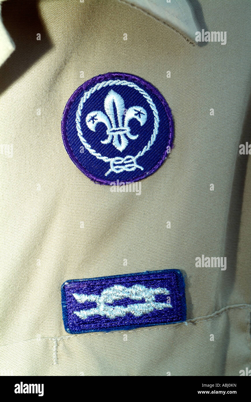 World Scout Crest Badge Wood