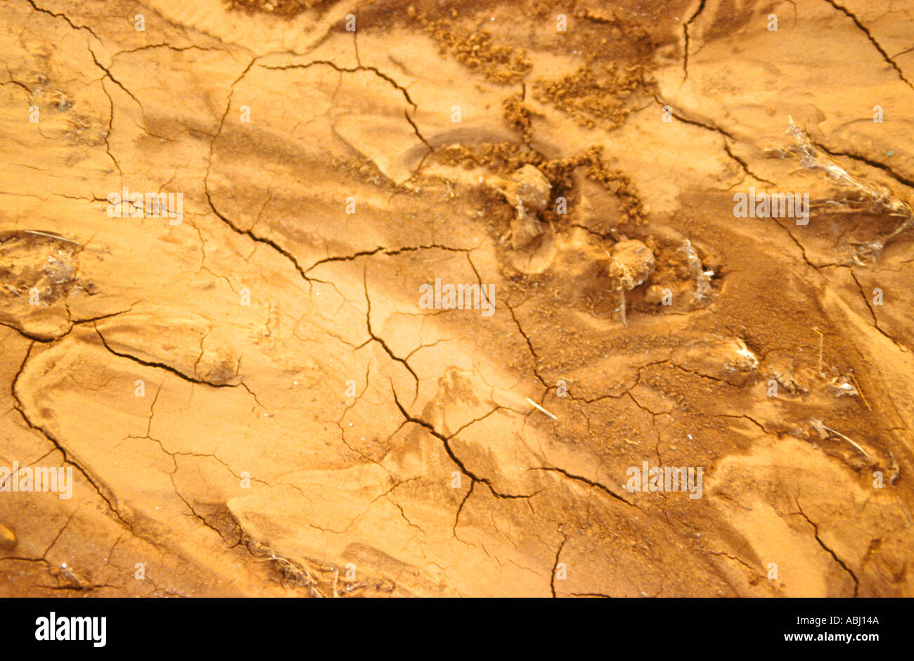 Texture, arid terrain, ocher Stock Photo - Alamy