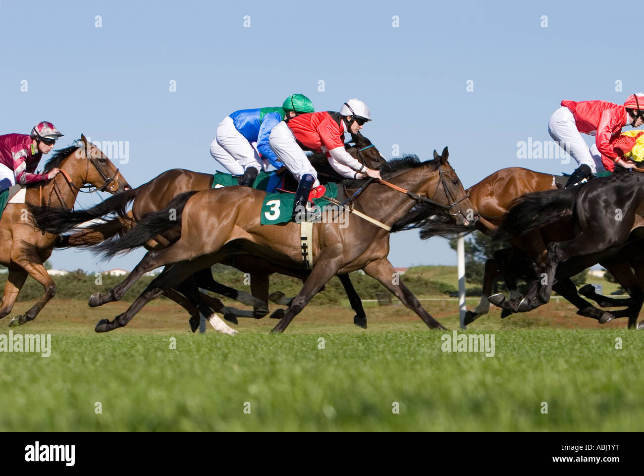 Horse's legs galloping close up hi-res stock photography and images - Alamy