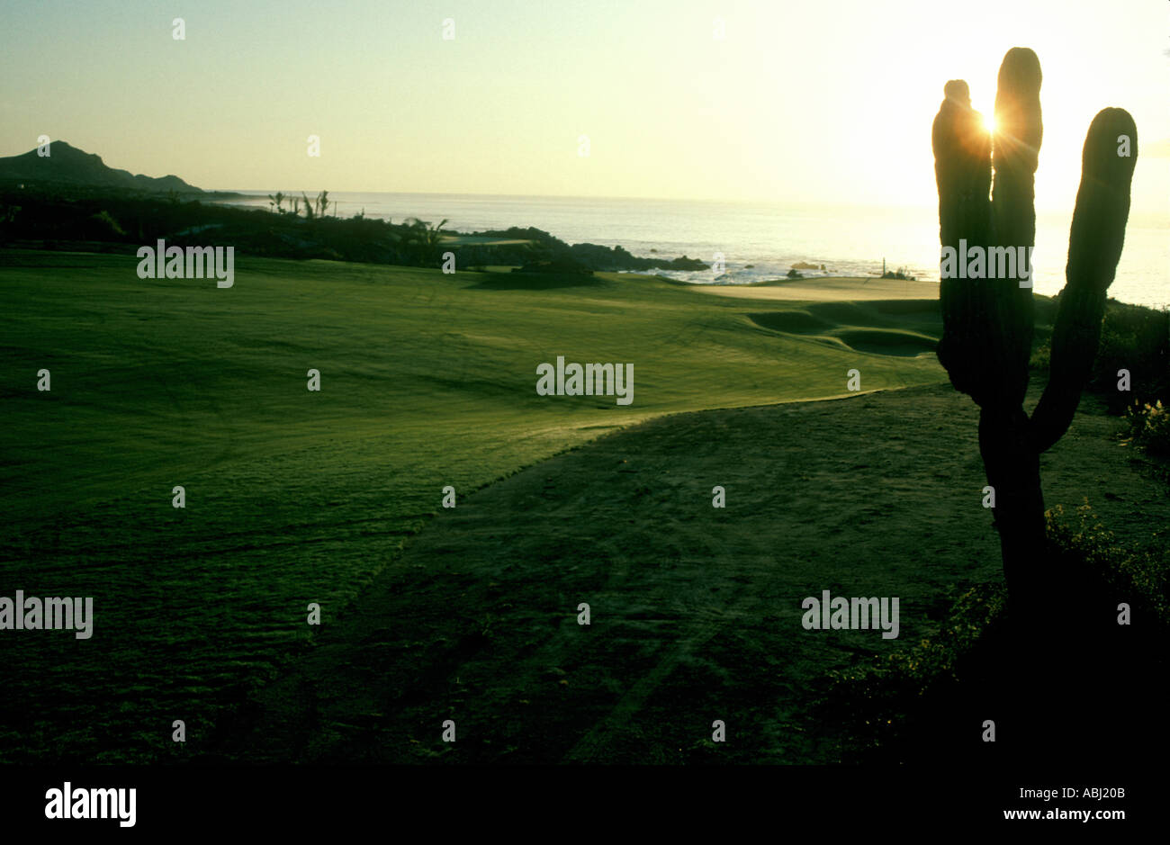 Cabo del sol golf hi-res stock photography and images - Alamy
