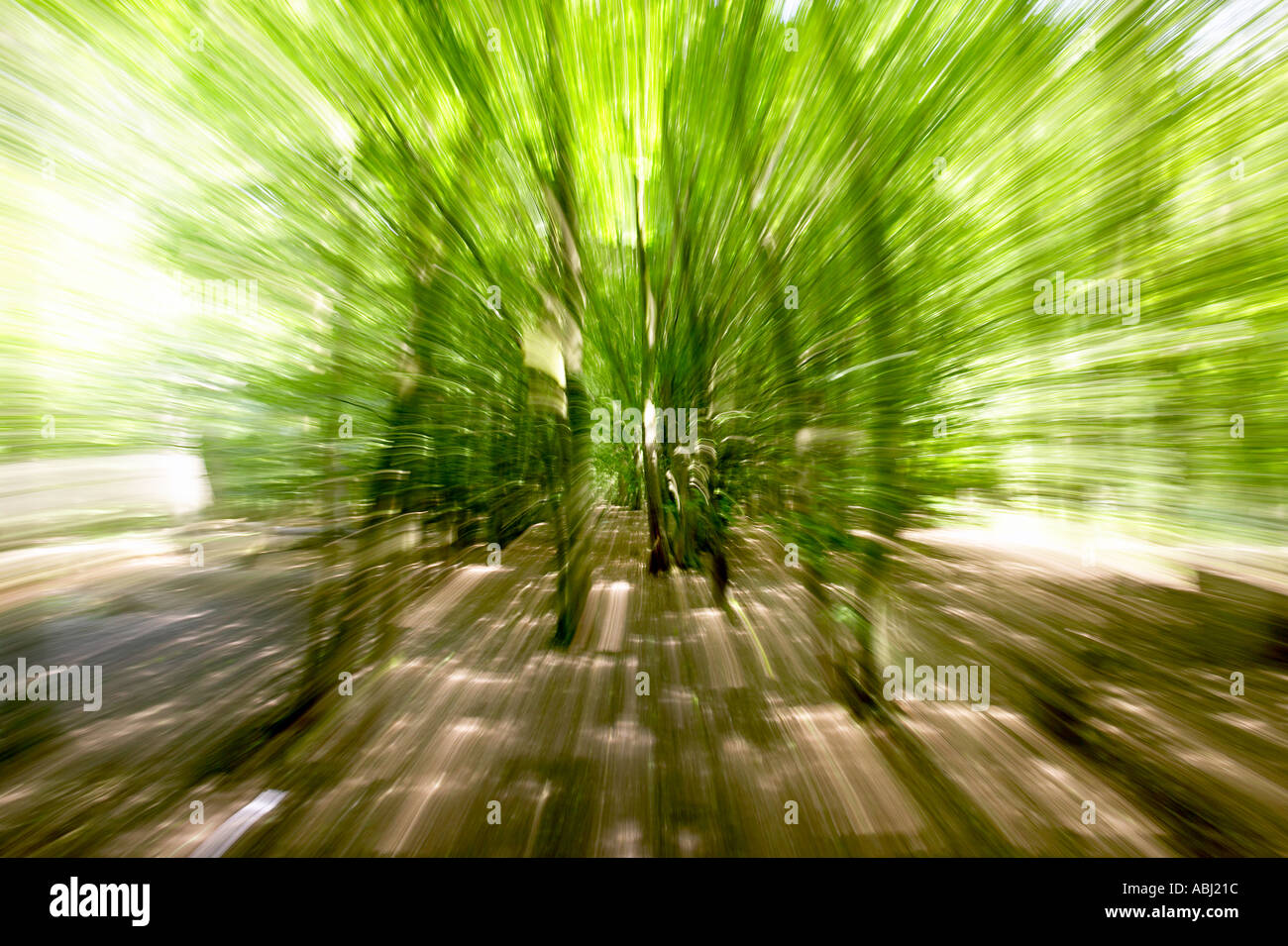 Zooming shot hi-res stock photography and images - Alamy