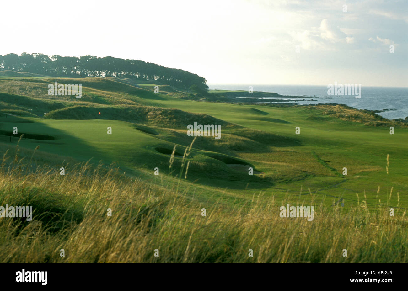 Kingsbarns golf links hi-res stock photography and images - Alamy