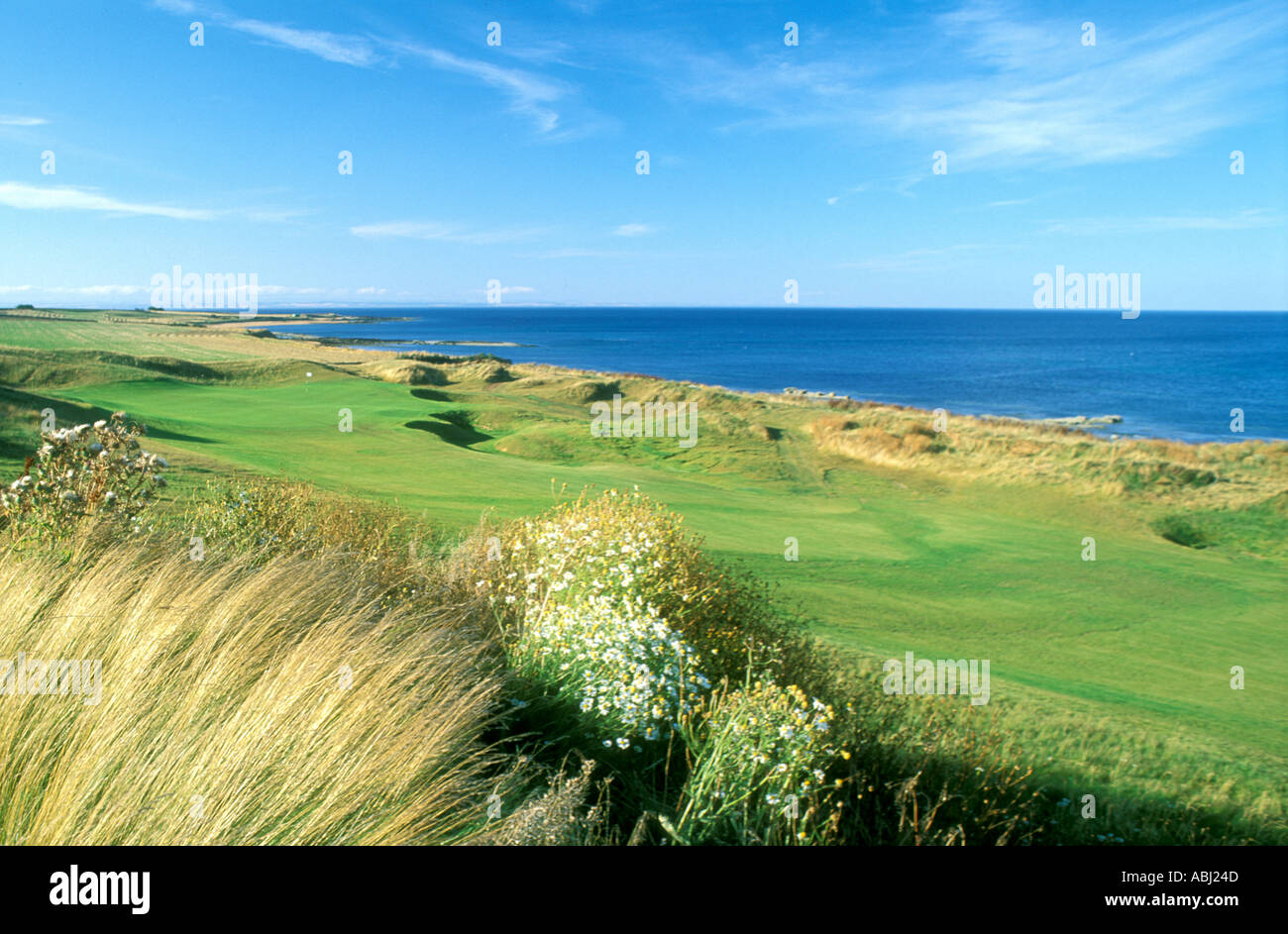 Kingsbarns golf course hi-res stock photography and images - Alamy