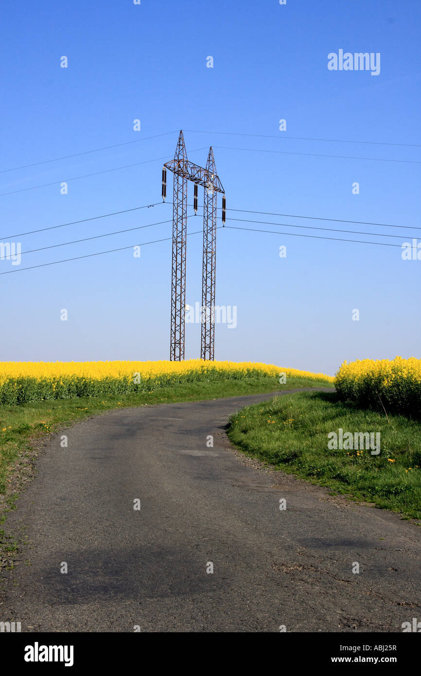 electrical power line, Czech Republic, Europe. Photo by Willy Matheisl ...