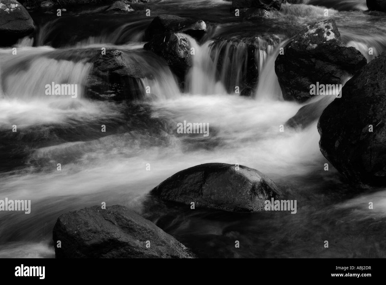 Torrent in Rocky Mountain National Park in Colorado State Stock Photo ...