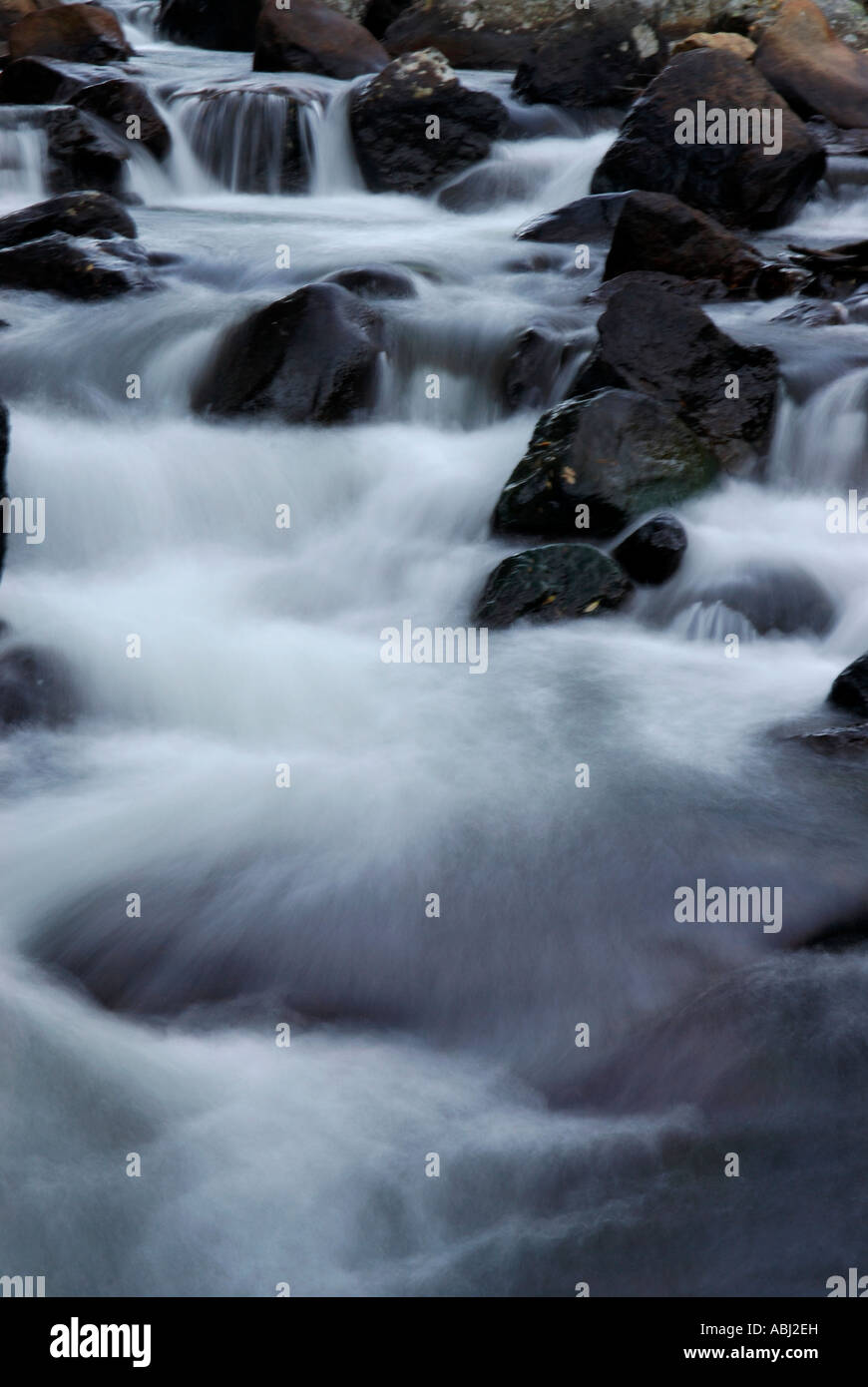 Torrent in Rocky Mountain National Park in Colorado State Stock Photo ...