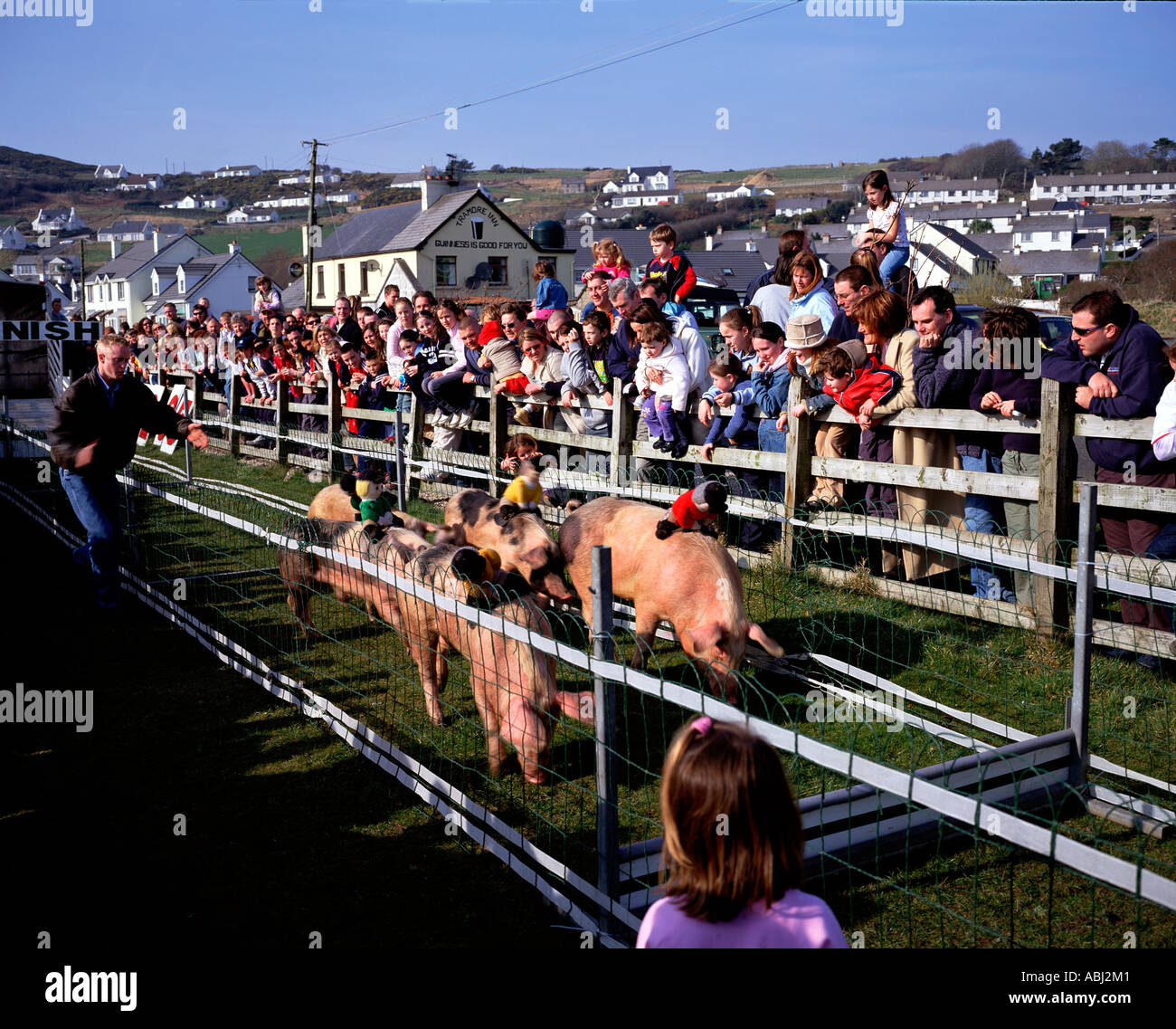 Pig Racing High Resolution Stock Photography and Images - Alamy