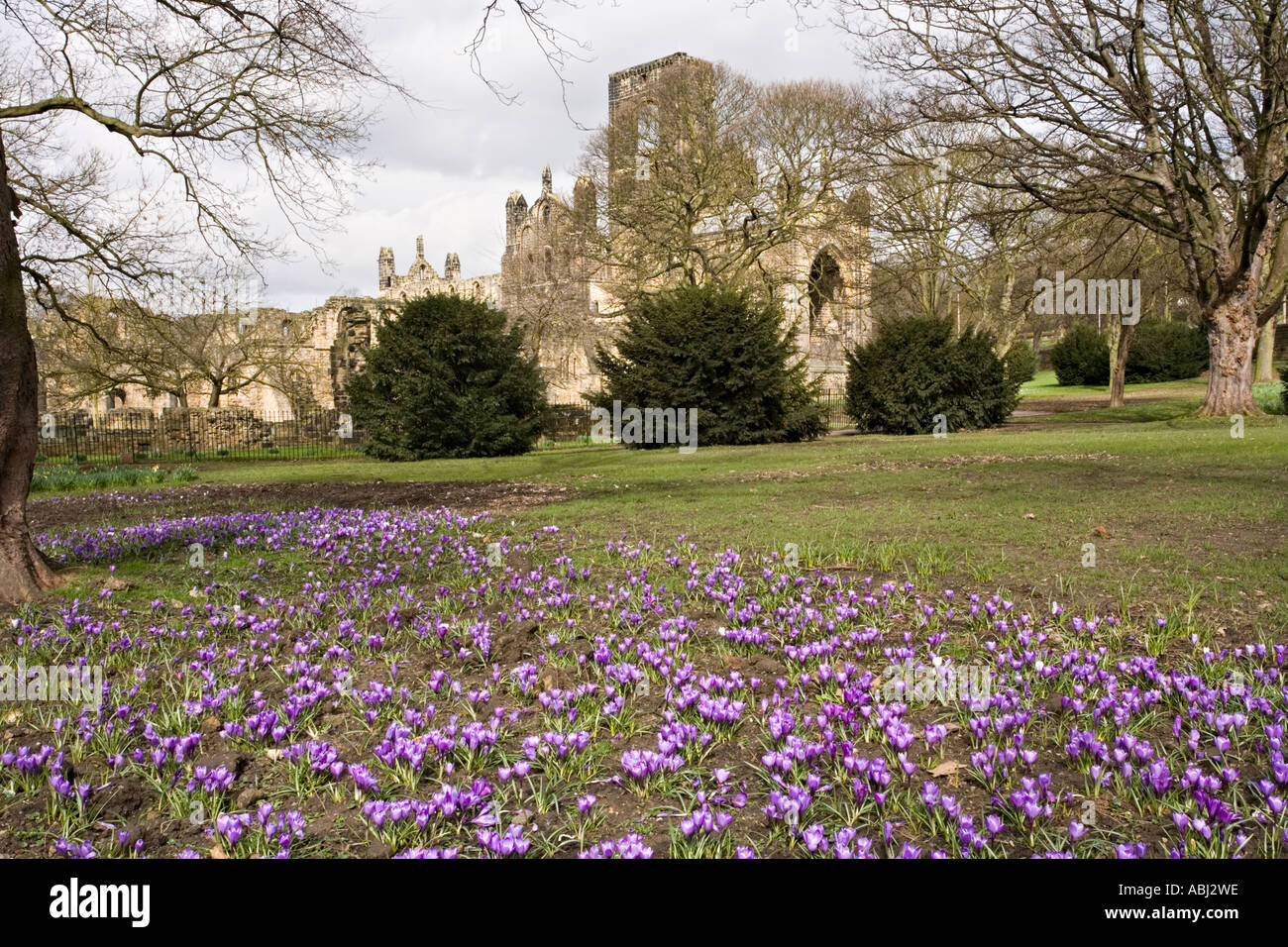 Kirkstall Abbey in Leeds Yorkshire UK Stock Photo - Alamy
