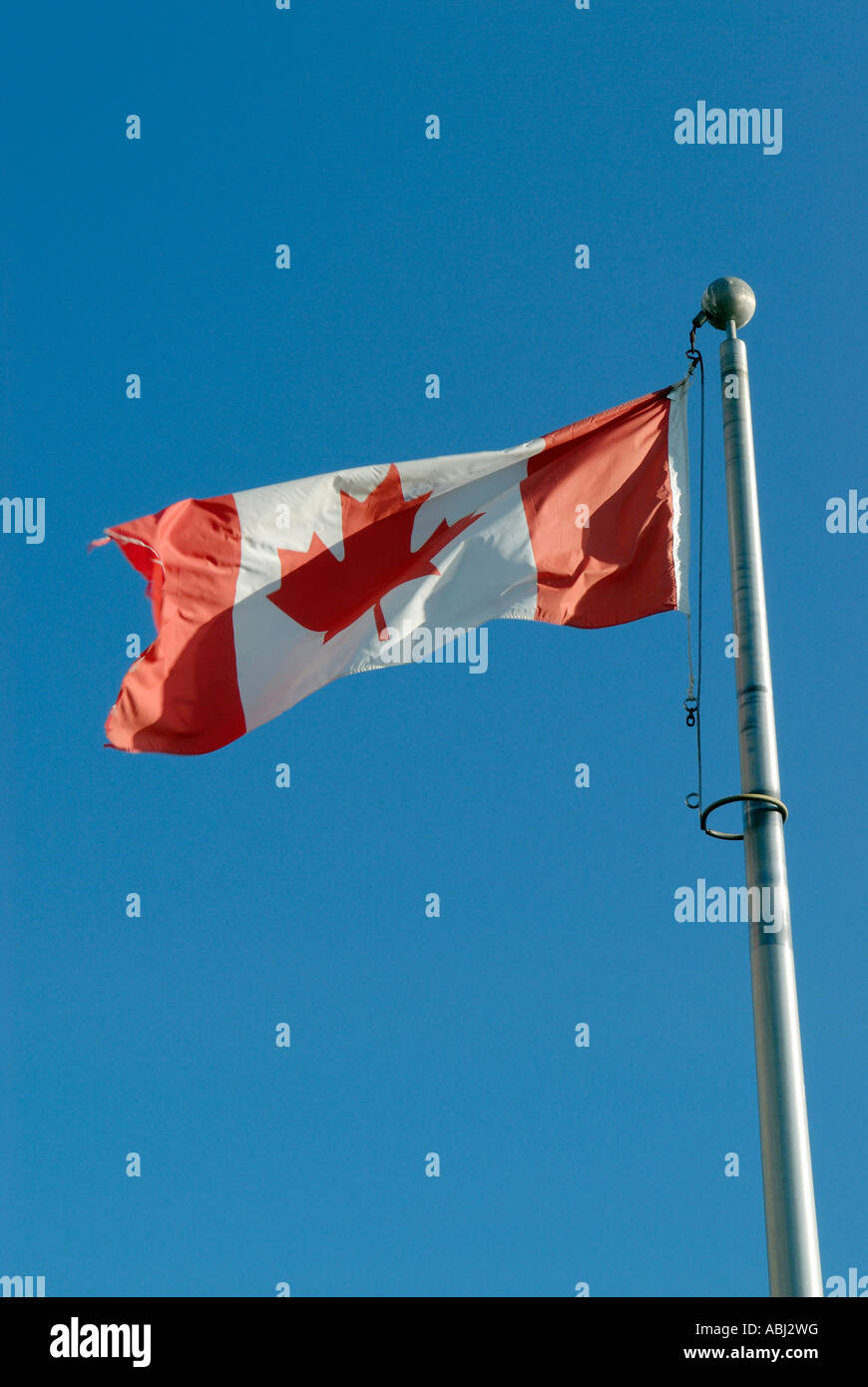 Canadian flag floating in the wind Stock Photo - Alamy