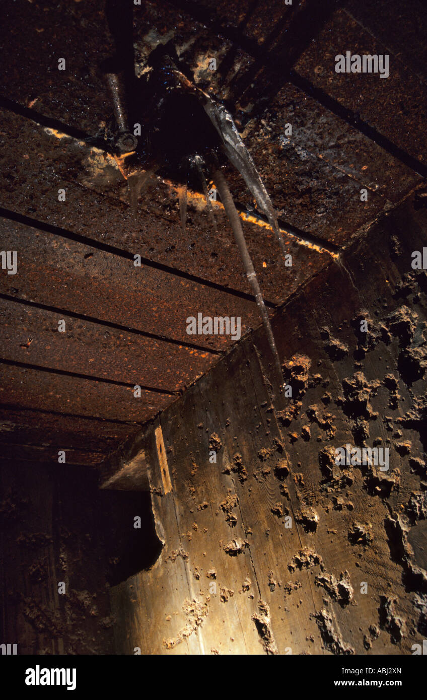 Molotov Line - Inside the bunker Stock Photo - Alamy