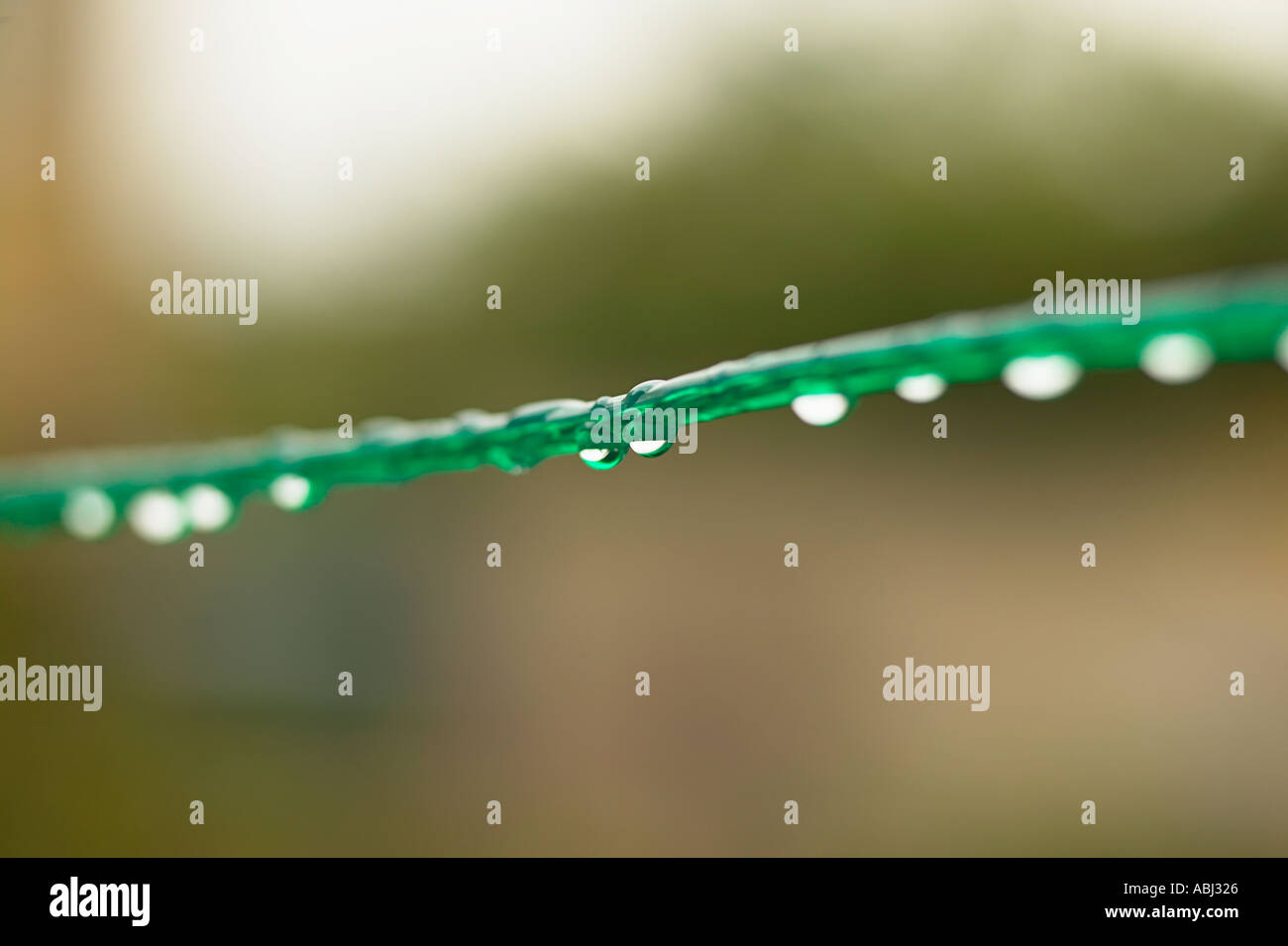 Droplet raindrops hi-res stock photography and images - Alamy