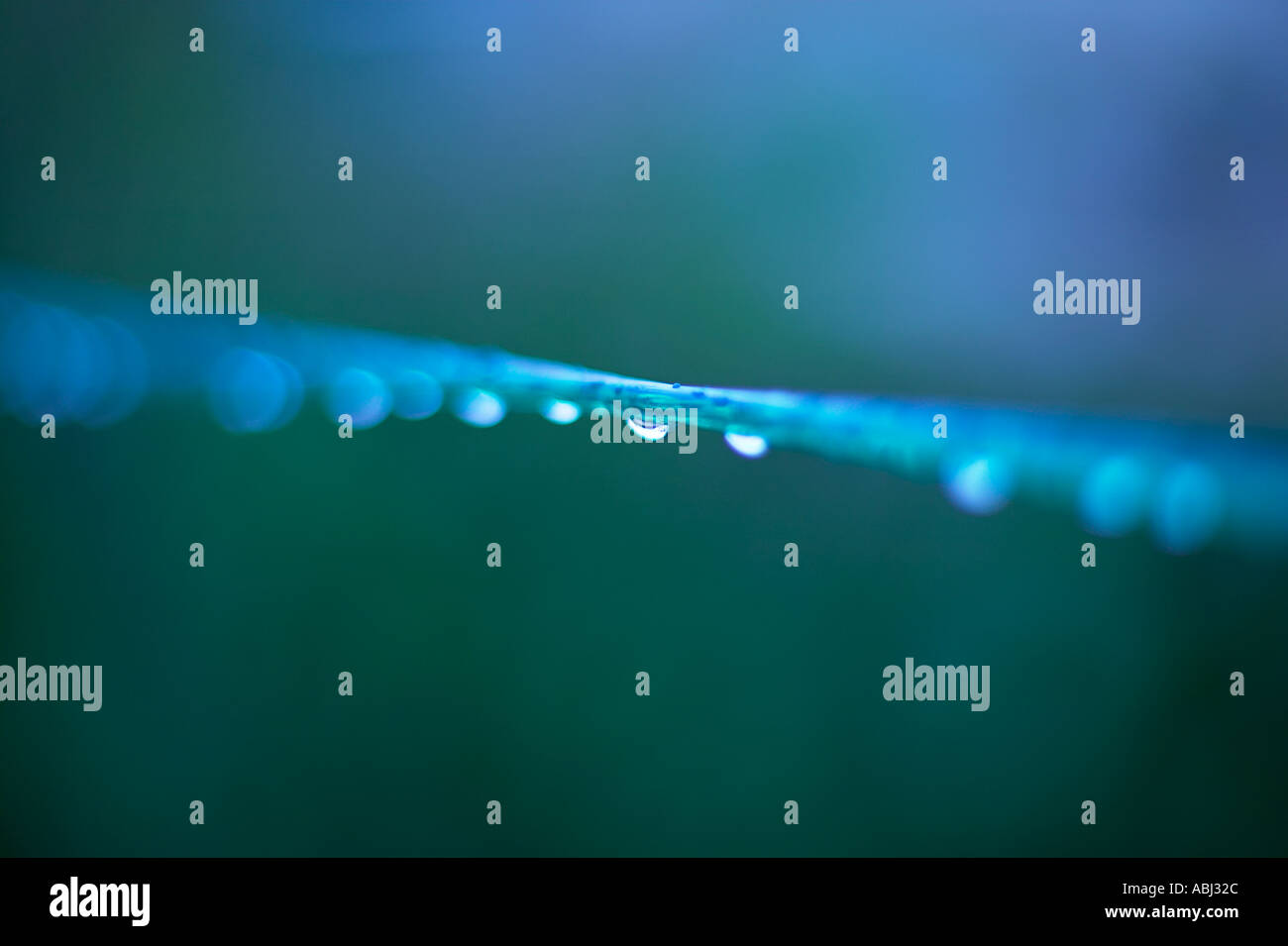 Fresh droplet hi-res stock photography and images - Alamy